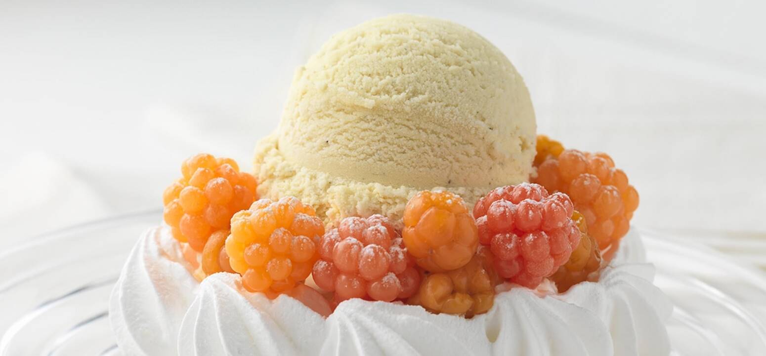 Snelle & Feestelijke Ijsdesserts | Solo